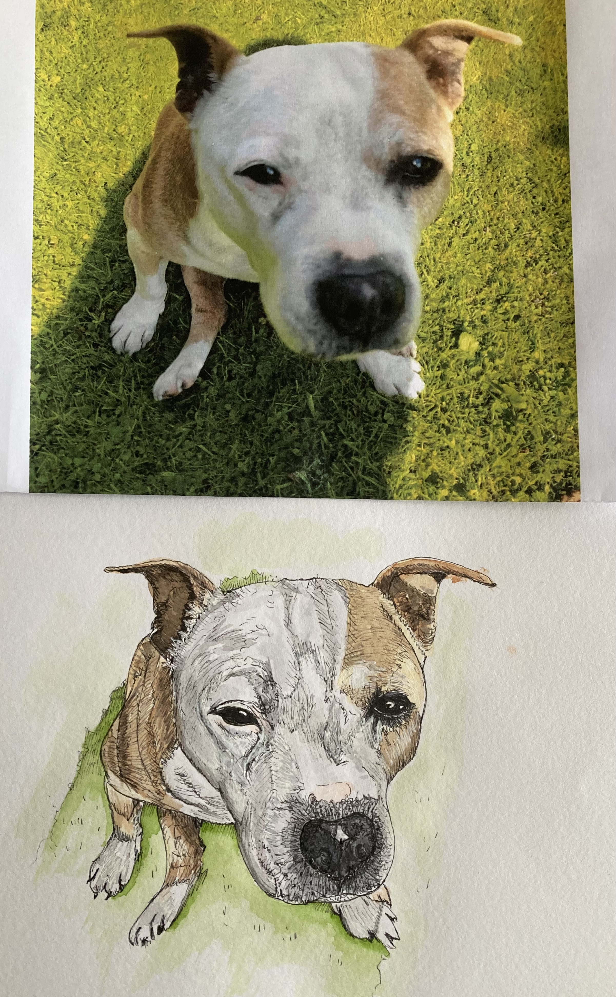 commissions – Lisa Prince Art & Design